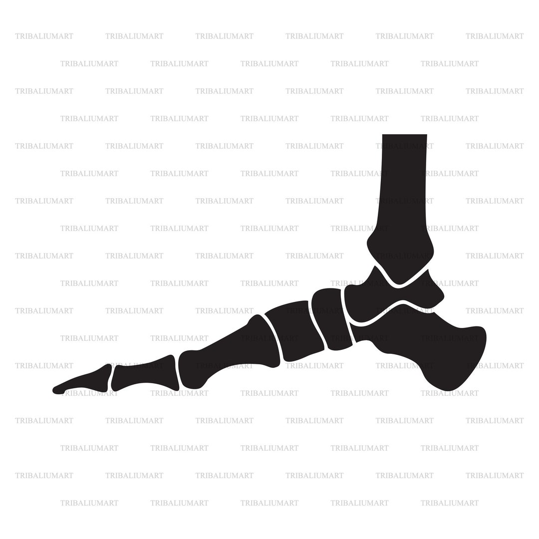 Human Foot Bones Skeletion. Cut Files for Cricut. Clip Art Silhouettes ...