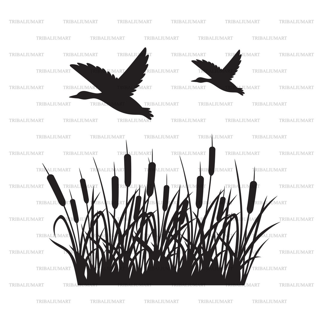 Flying Mallard Duck and Reeds Background Silhouette (bulrush and Grass ...