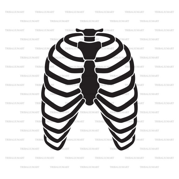 Human Rib Cage Skeleton. Cut Files for Cricut. Clip Art | Etsy