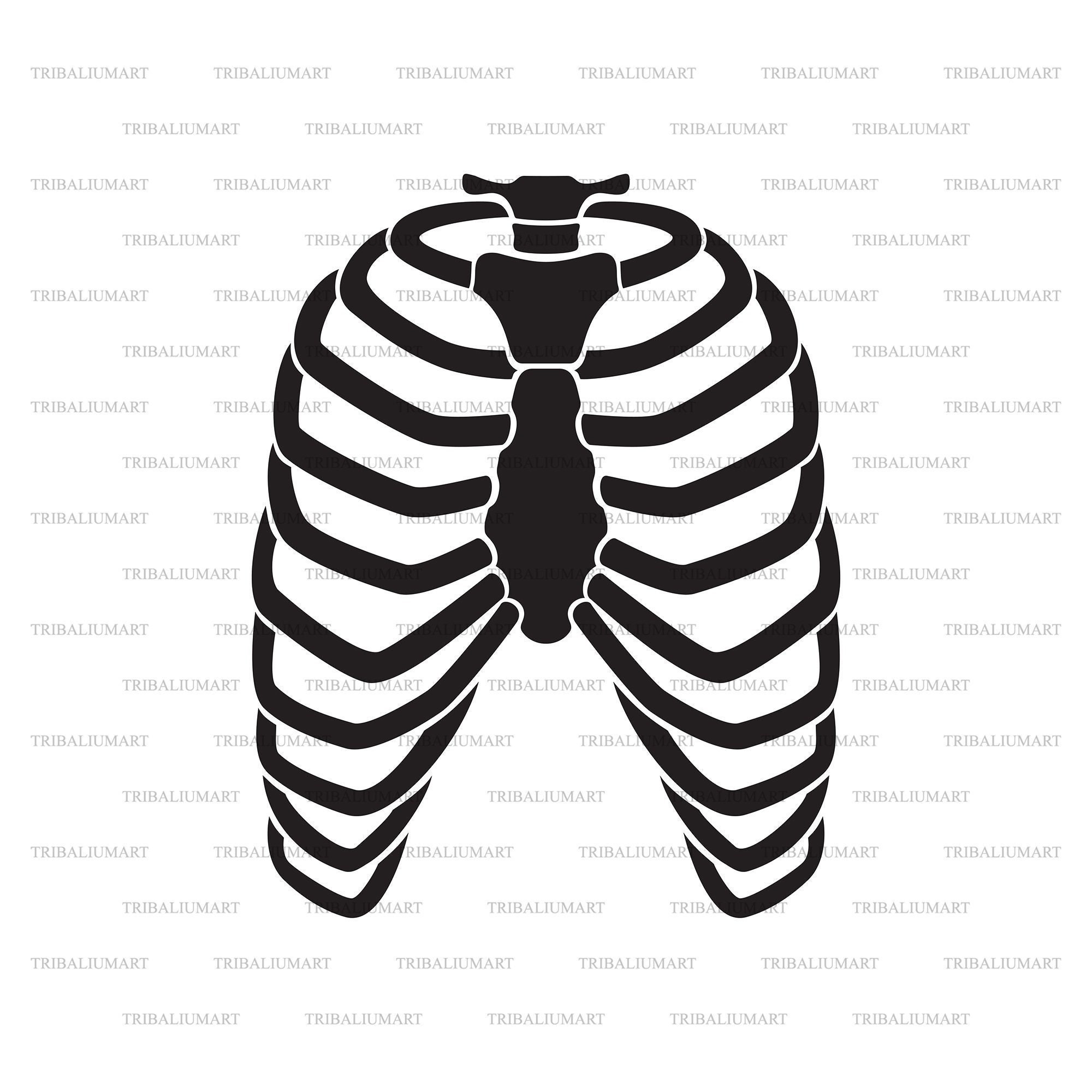 Human Rib Cage Skeleton. Cut Files for Cricut. Clip Art | Etsy