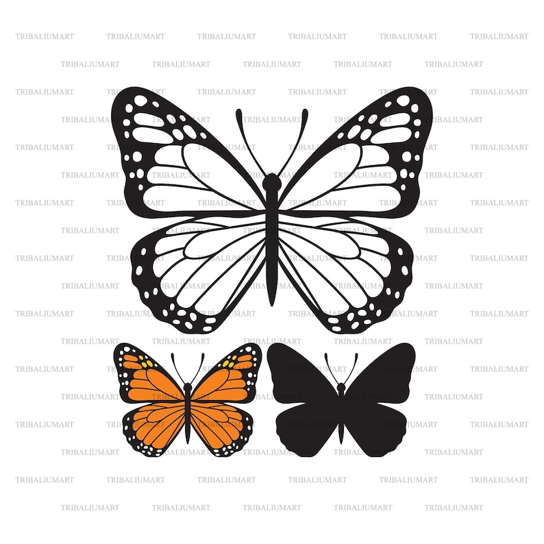 Butterfly. Cut Files for Cricut. Clip Art Silhouettes eps - Etsy