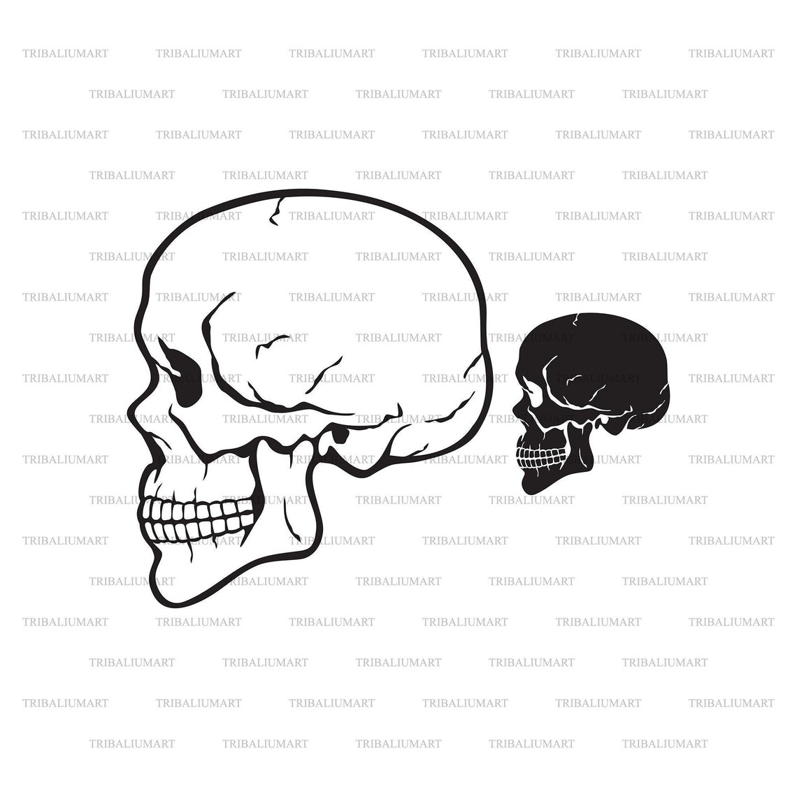 Human Skull Profile. Cut Files for Cricut. Clip Art eps Svg - Etsy