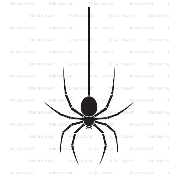 Spider and Web. Cut Files for Cricut. Clip Art Silhouette | Etsy