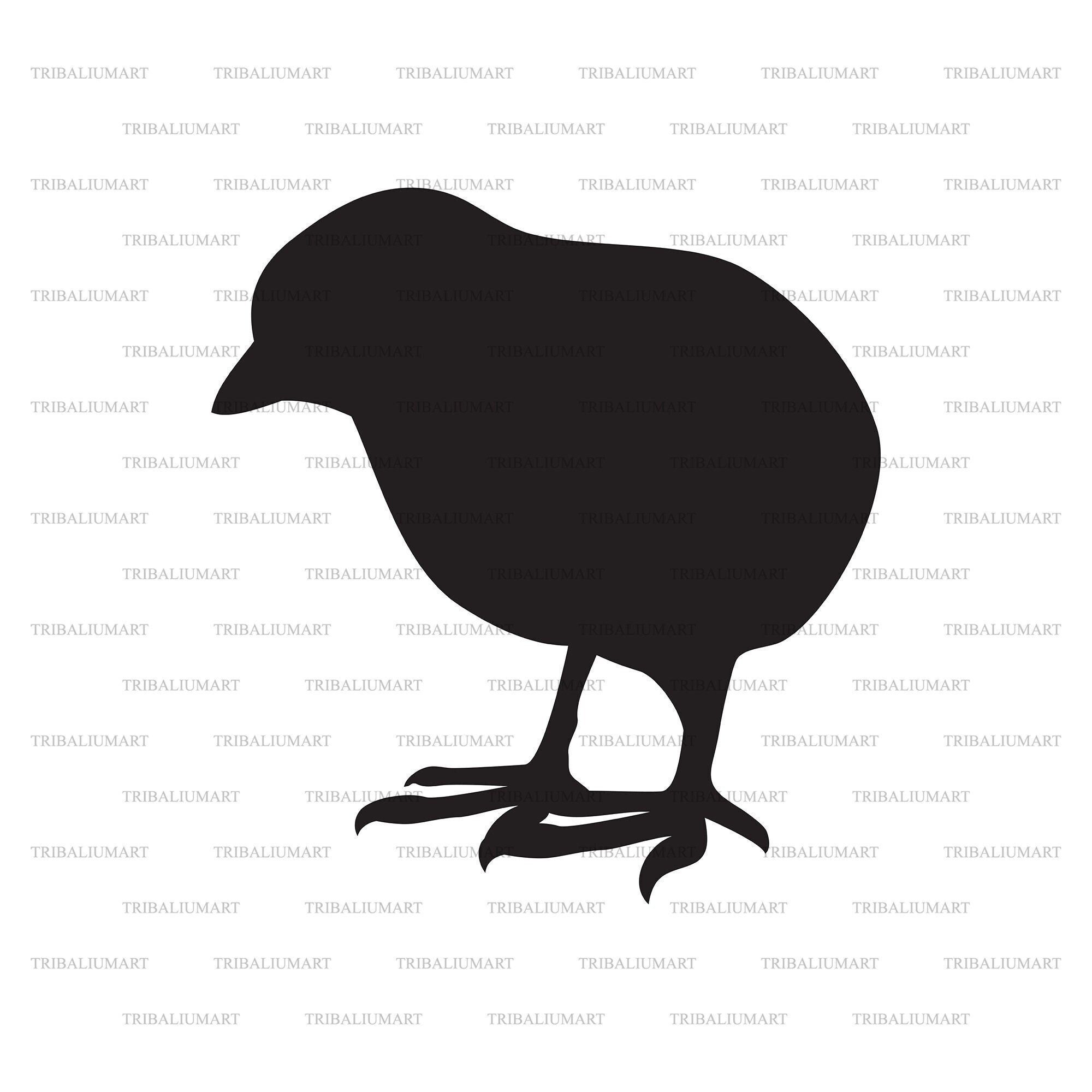 Baby Chicken. Cut Files for Cricut. Clip Art Silhouettes eps - Etsy
