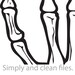 Skeleton Hand. Cut Files for Cricut. Clip Art Silhouettes eps, Svg, Pdf ...