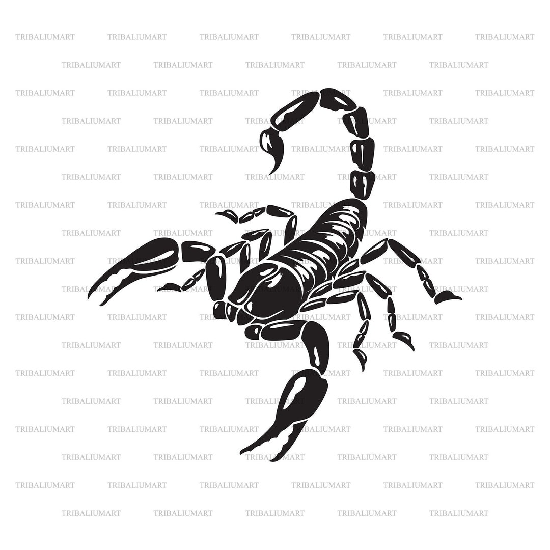 Scorpion. Cut Files for Cricut. Clip Art Silhouette (eps, Svg, Pdf, Png ...