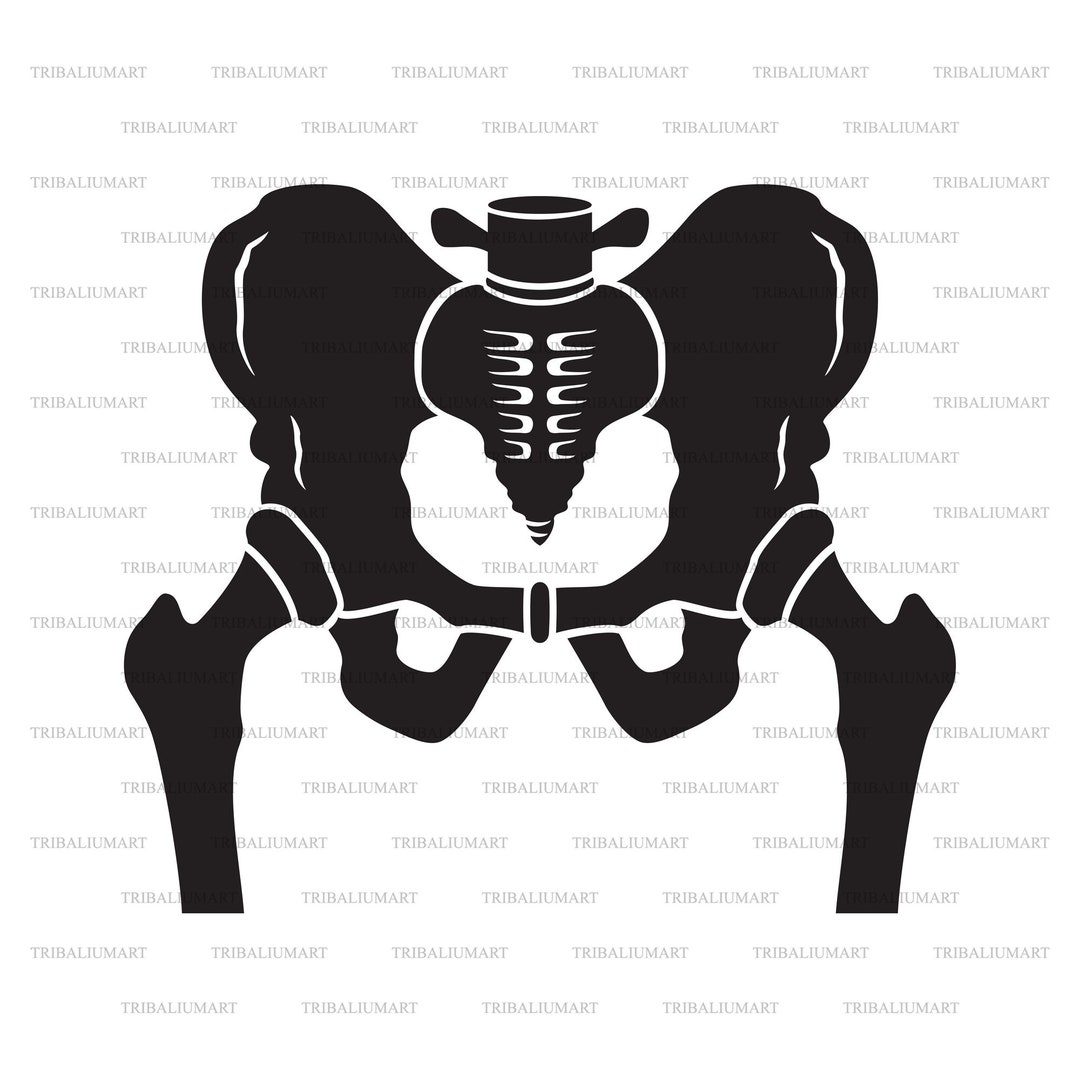Hip Bone Cut Files for Cricut (eps, Svg, Pdf, Png, Dxf, Jpeg). - Etsy