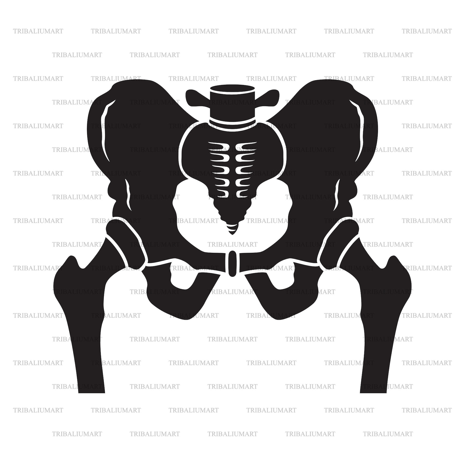 Hip bone Cut files for Cricut eps svg pdf png dxf | Etsy