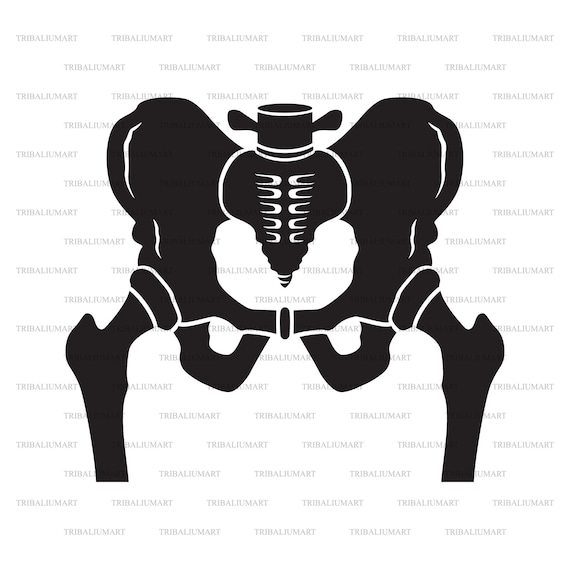 Hip Bone Cut Files for Cricut eps Svg Pdf Png Dxf Jpeg. - Etsy New Zealand