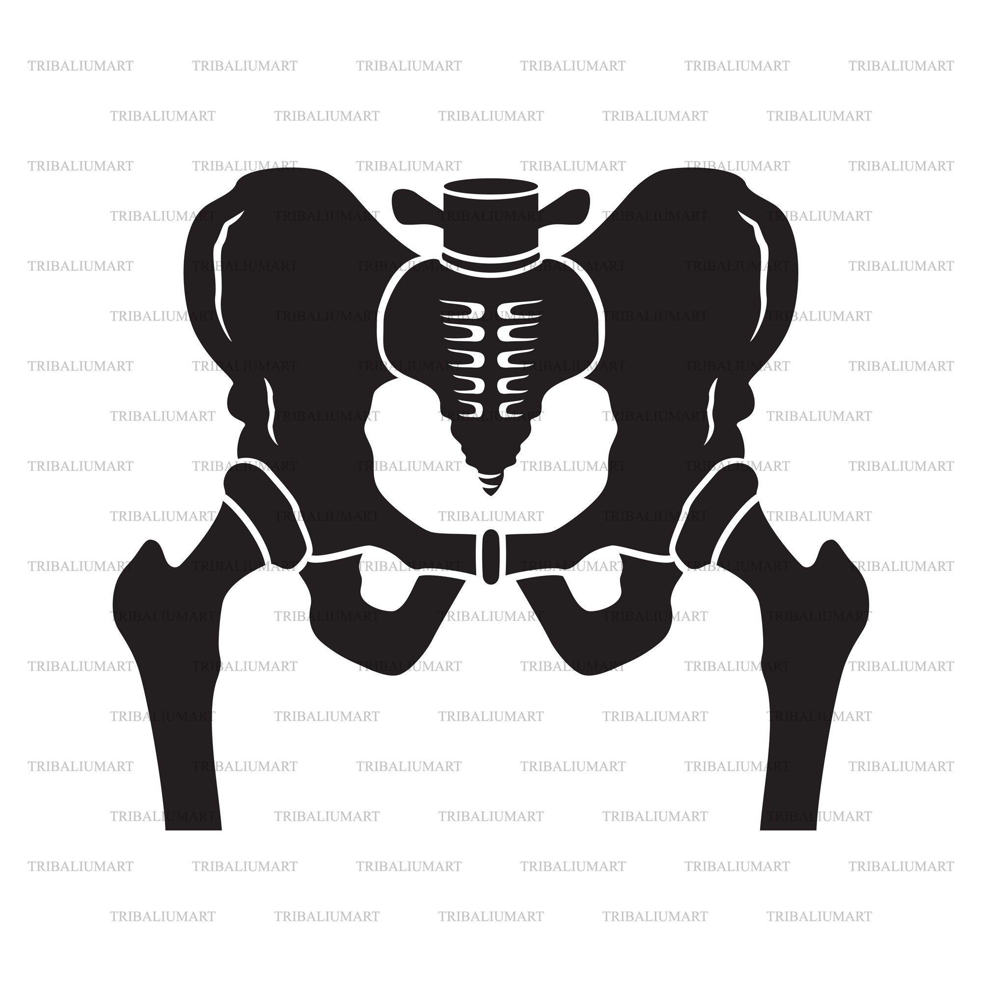 Hip Bone Cut Files for Cricut eps Svg Pdf Png Dxf Jpeg. - Etsy UK