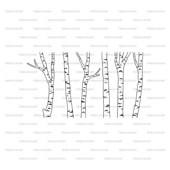 White Birch Tree Clipart