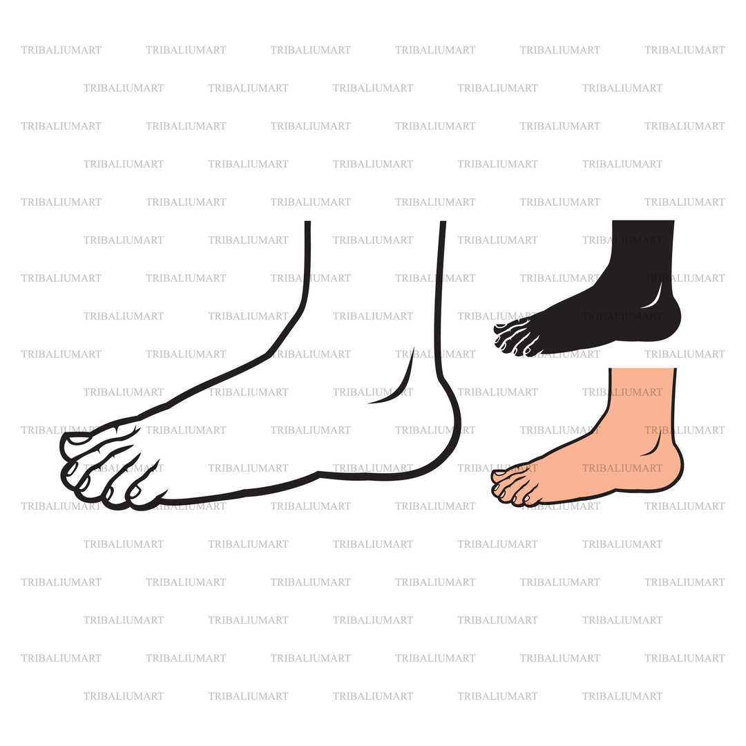 Foot Standing. Cut Files for Cricut. Clip Art Silhouettes (eps, Svg ...