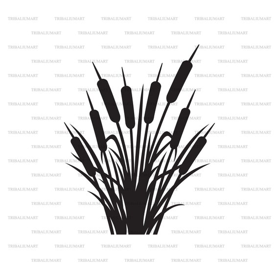 Reeds Silhouette Design. Illustration of Bulrush and Grass. - Etsy