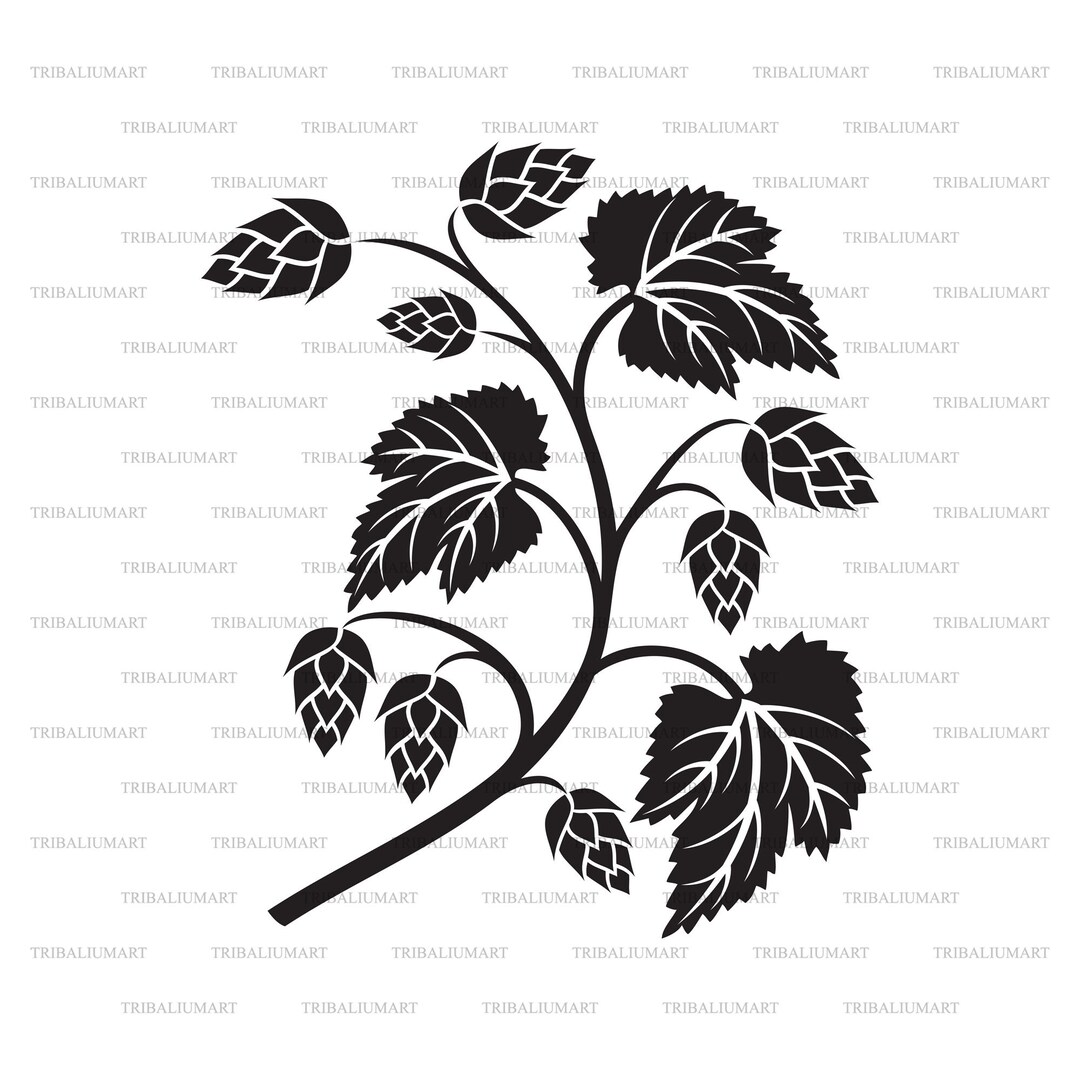 Hops (beer Design). Cut Files for Cricut. Clip Art Silhouette (eps, Svg ...