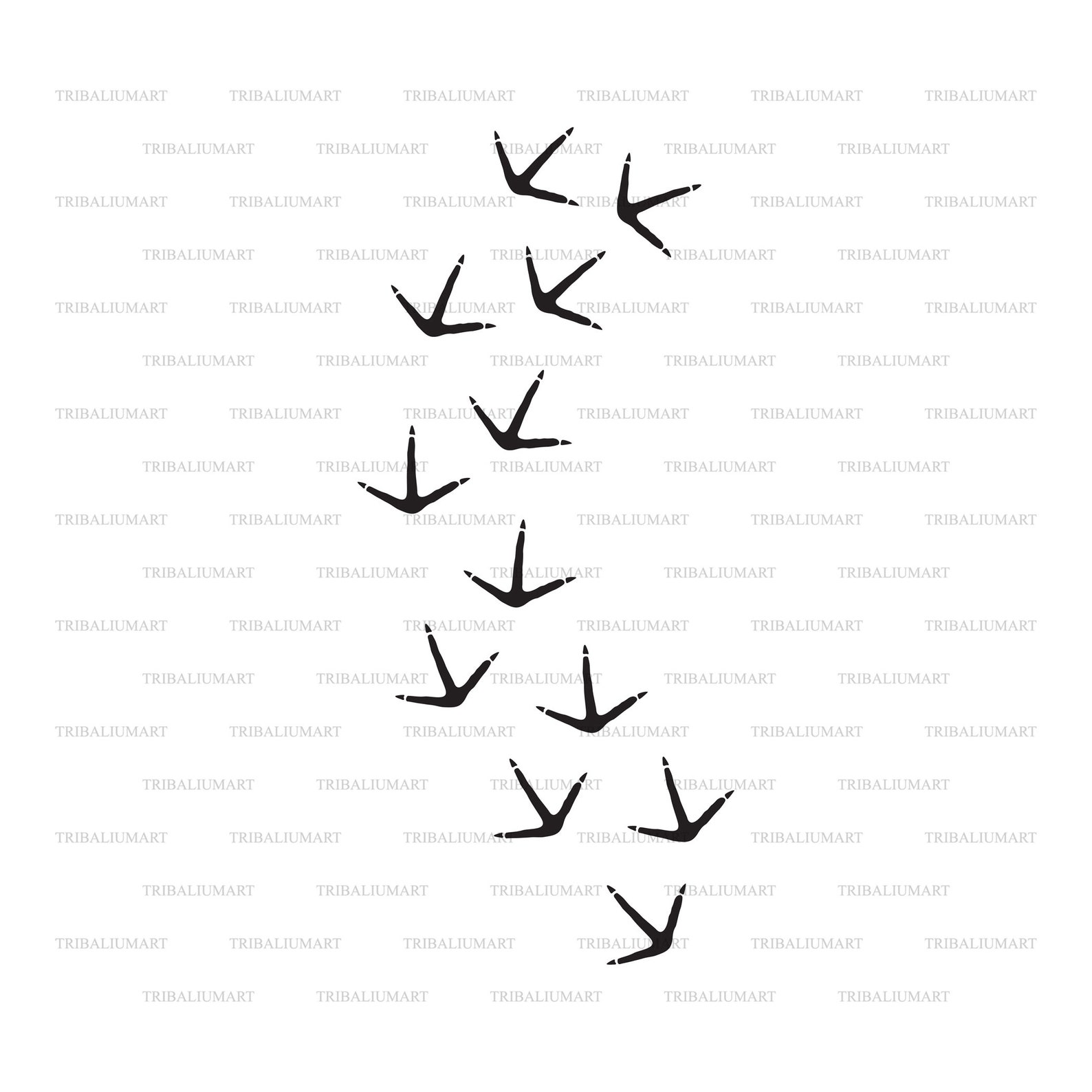 Traces of Birds. Chicken Steps or Footprints. Turkey Paw Prints. Cut ...