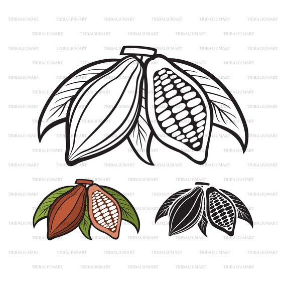 Cocoa Beans. Cut Files for Cricut. Clip Art Silhouette eps | Etsy Singapore