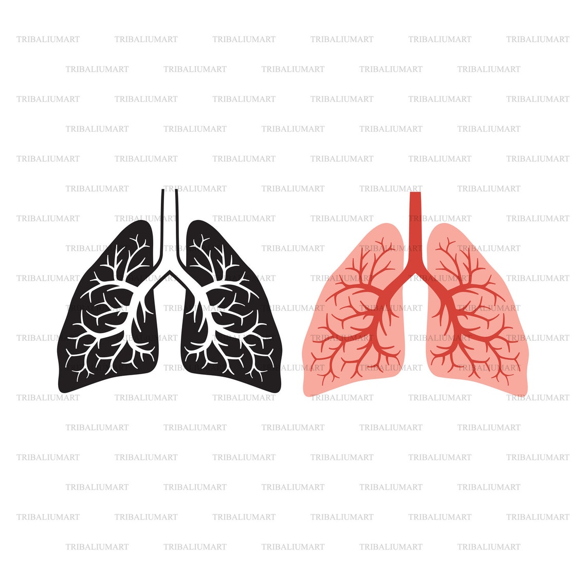 Anatomía de los pulmones humanos sistema bronquial. Cortar - Etsy España