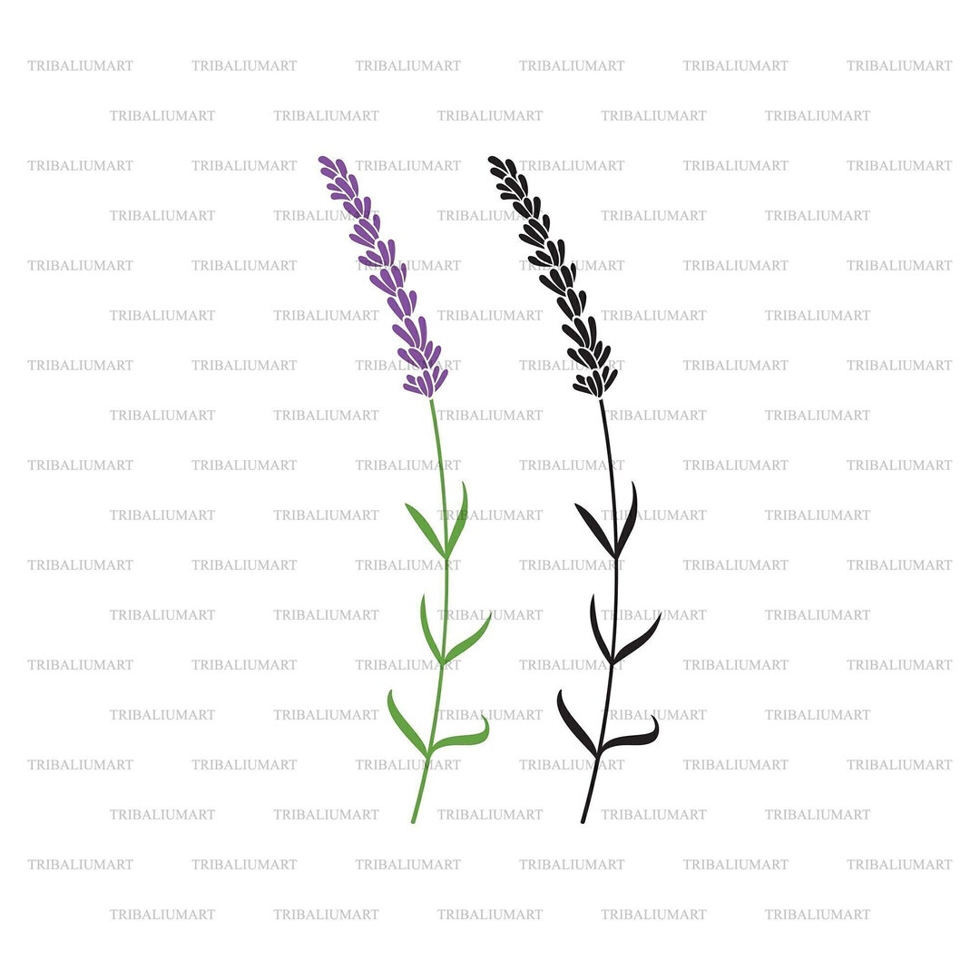 Lavender Flower. Cut Files for Cricut. Clip Art Silhouette (eps, Svg ...