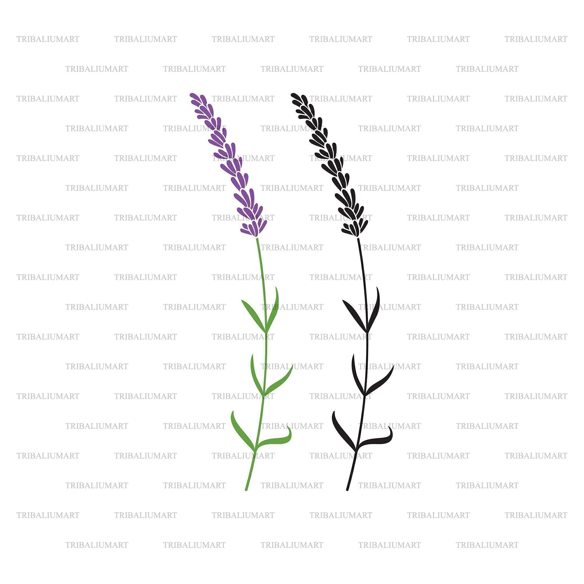 Lavender Flower. Cut Files for Cricut. Clip Art Silhouette - Etsy