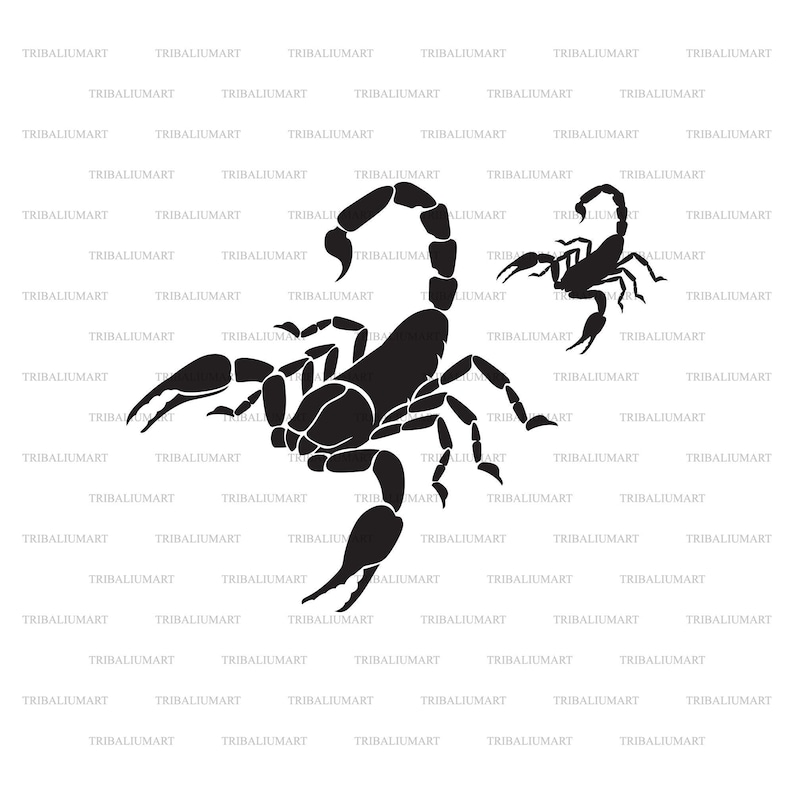 Scorpion. Cut Files for Cricut. Clip Art Silhouette eps Svg - Etsy