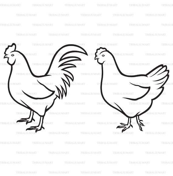Rooster and Chicken. Cut Files for Cricut. Clip Art eps Svg | Etsy