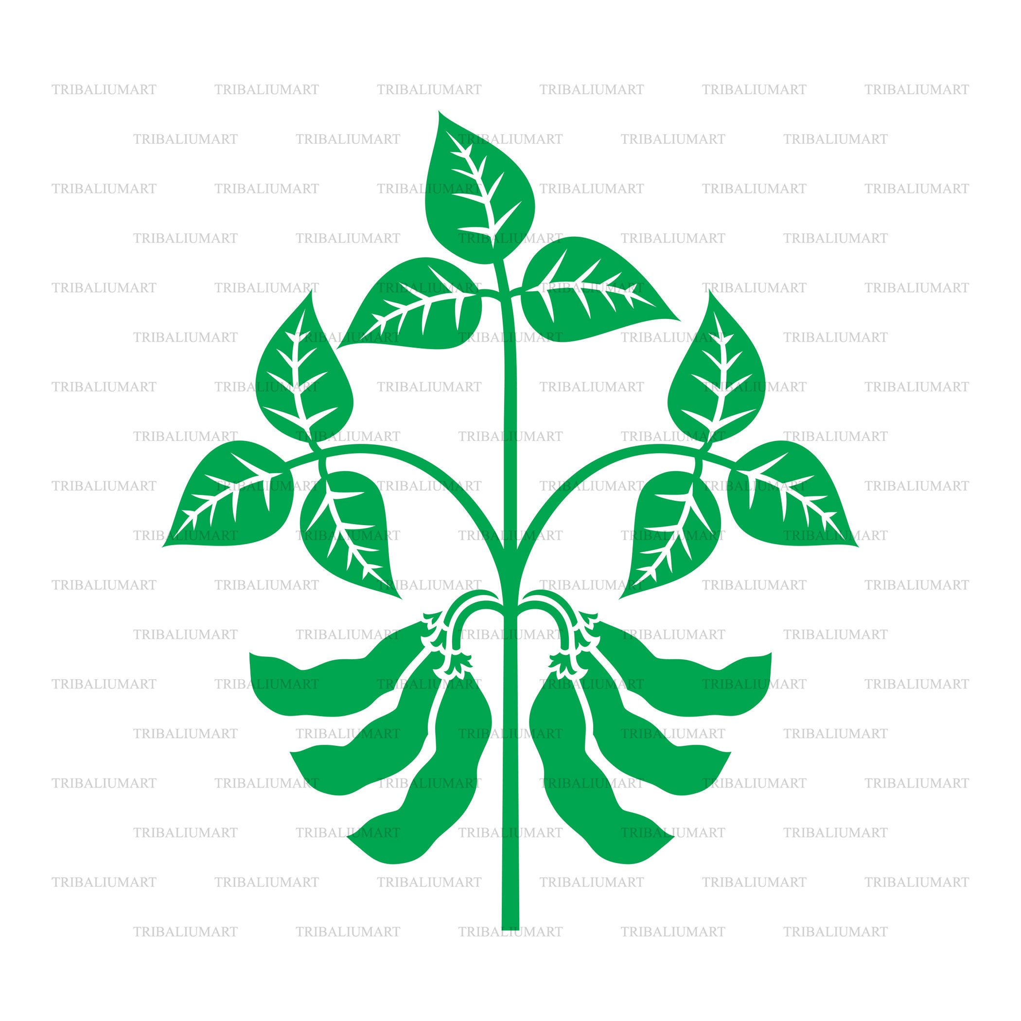 Soybean Plant. Cut Files for Cricut. Clip Art Silhouettes (eps, Svg ...