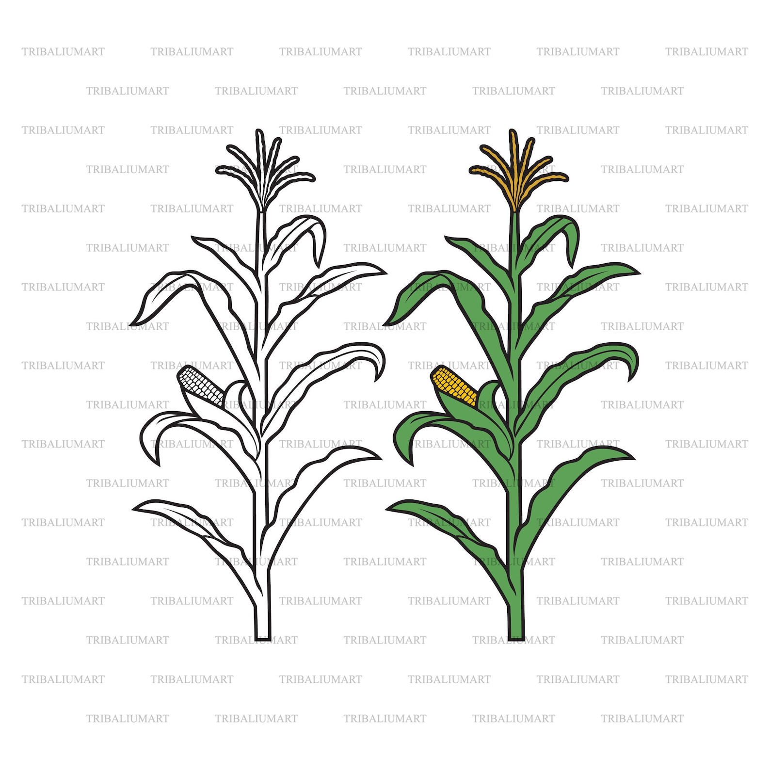 Corn Stalk. Cut Files for Cricut. Clip Art Silhouettes eps - Etsy