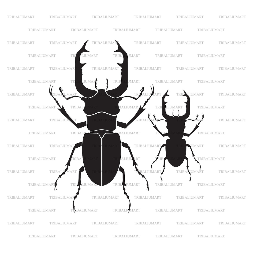 Stag Beetle Insect. Cut Files for Cricut. Clip Art Silhouette (eps, Svg ...
