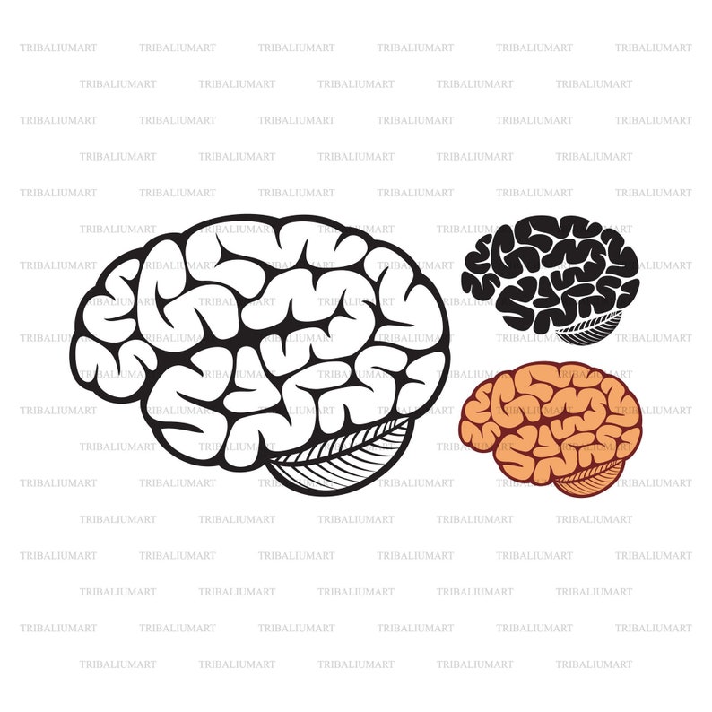 Human Brain. Cut Files for Cricut. Clip Art Silhouettes eps - Etsy Ireland