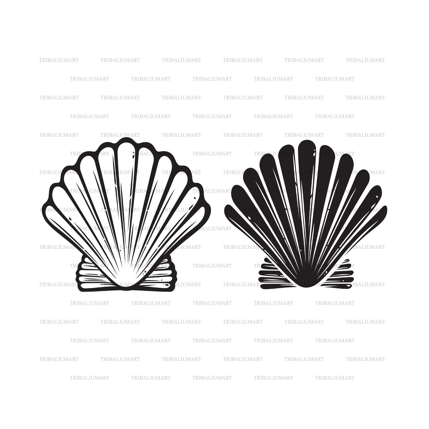 Seashell. Cut files for Cricut. Clip Art silhouettes eps | Etsy