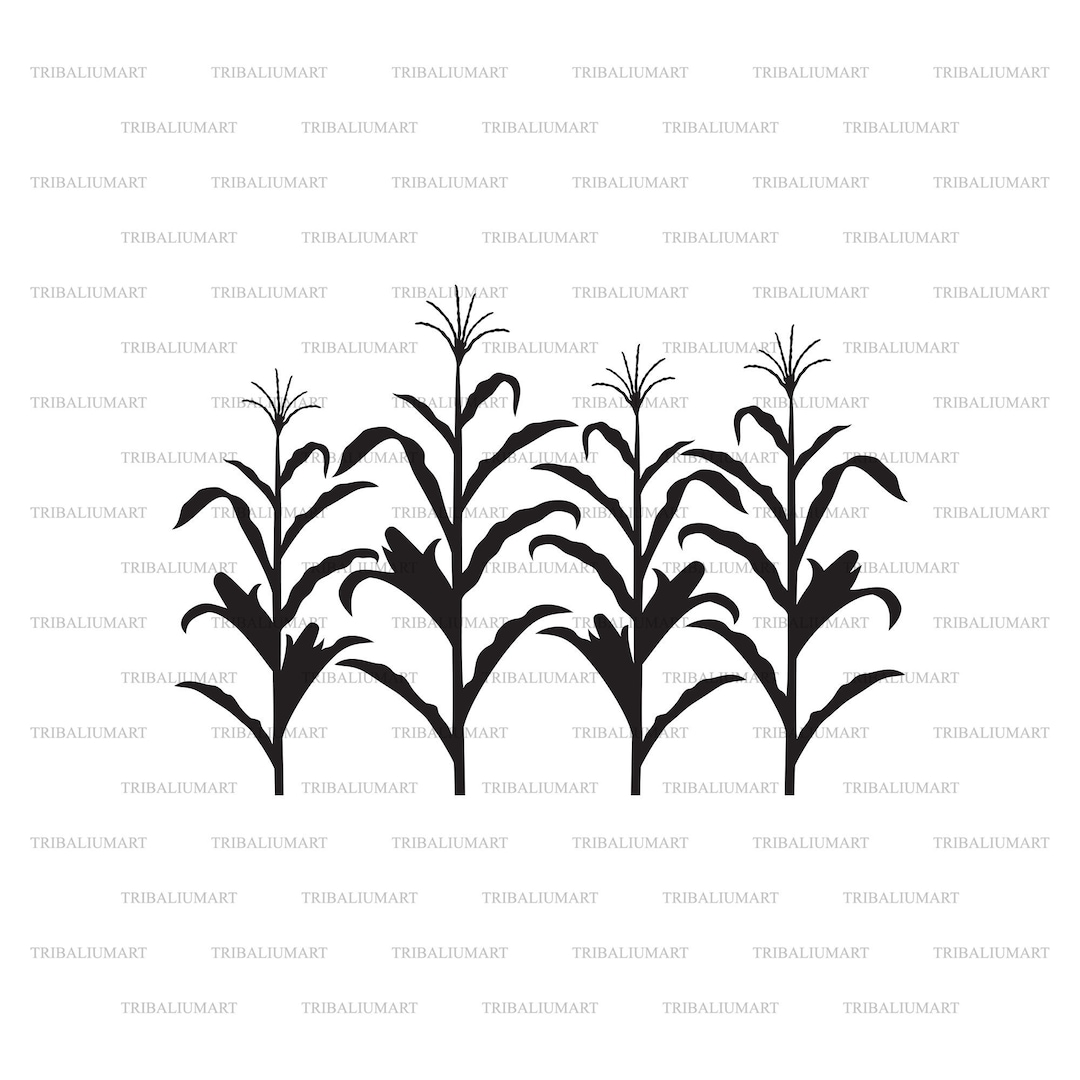 Corn Stalk. Cut Files for Cricut. Clip Art Silhouettes (eps, Svg, Pdf ...