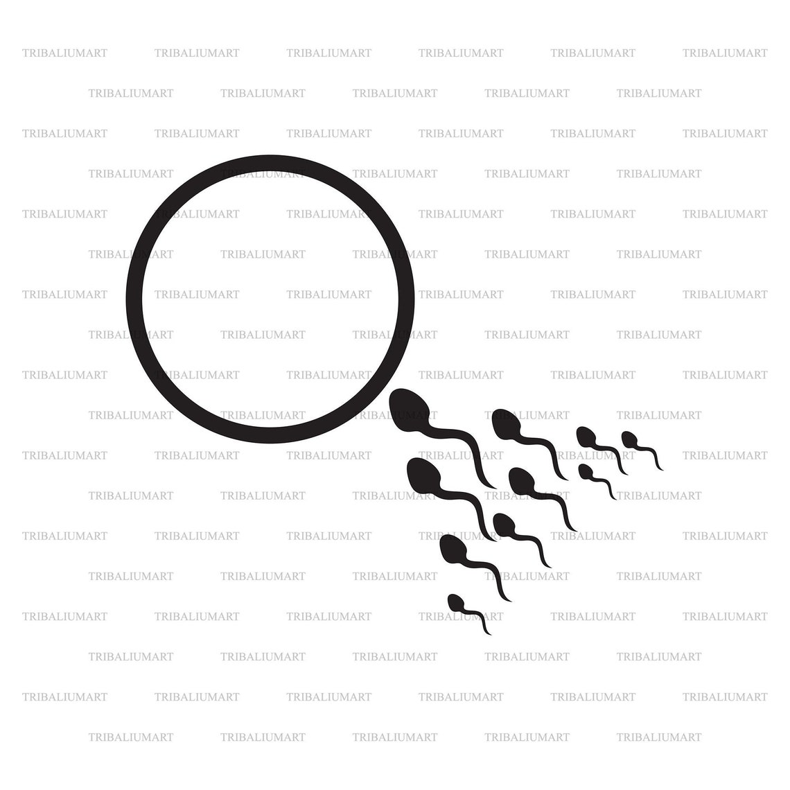 Human Sperm and Egg Cell. Cut Files for Cricut. Clip Art - Etsy