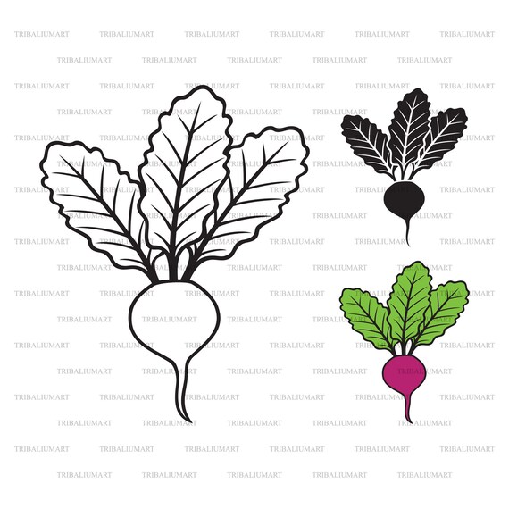 Beet Vegetable. Cut Files for Cricut. Clip Art eps Svg Pdf - Etsy