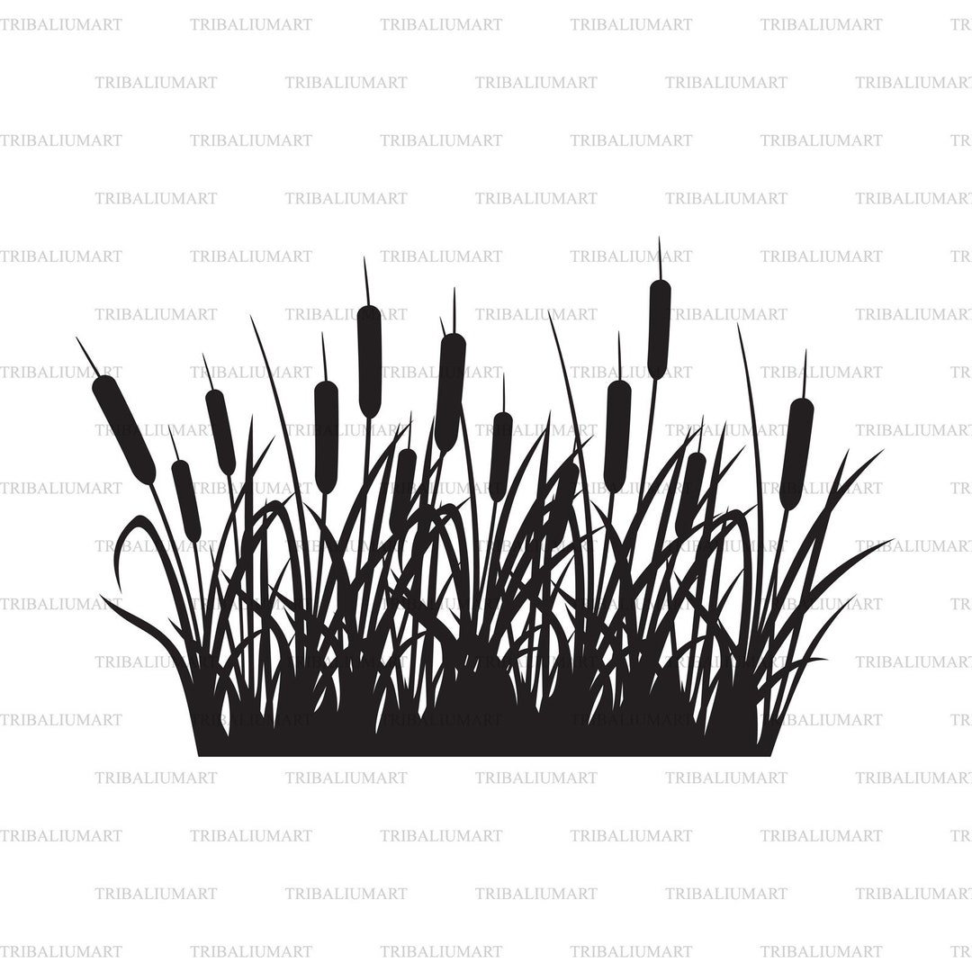 Reeds Silhouette Design. Illustration of Bulrush and Grass. Cut Files ...