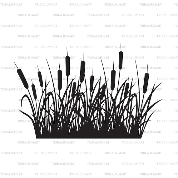 Paper, Party & Kids Dxf Bull Rush Plant Clipart Bull Rush Plant Png ...