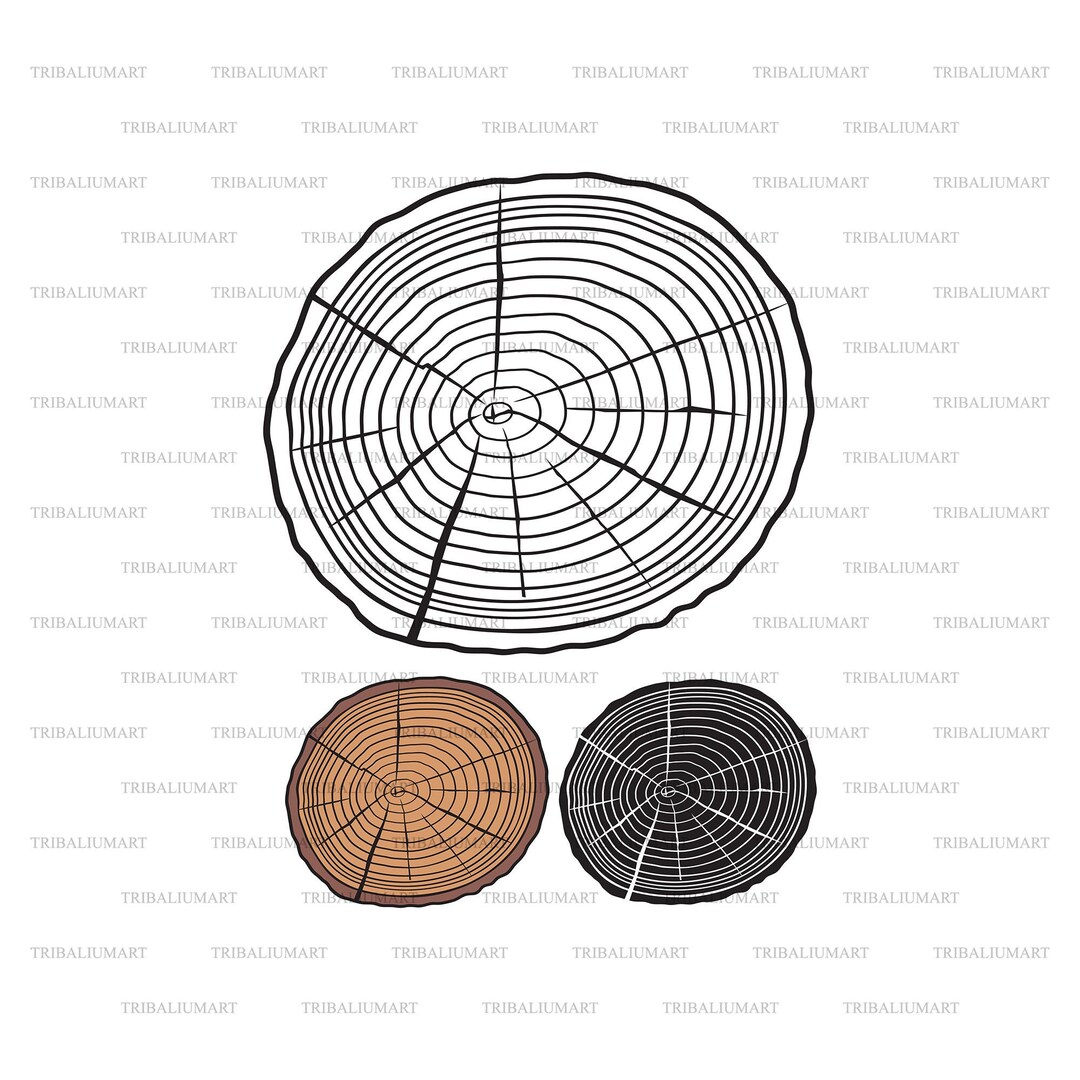 Tree Rings (growth Rings, Wood Cross Section)). Cut Files for Cricut ...