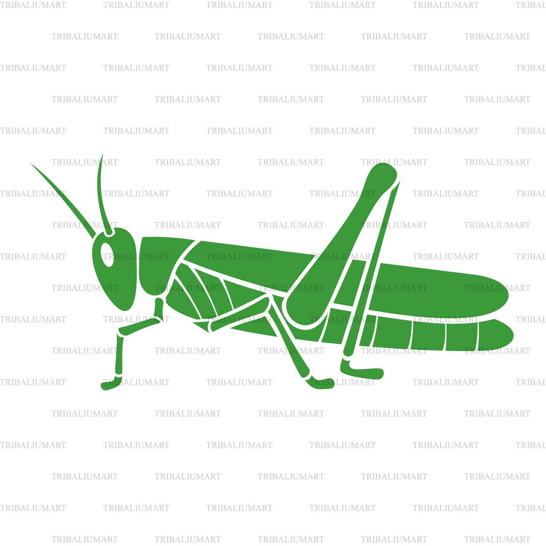 Grasshopper (locust). Cut Files for Cricut. Clip Art Silhouette (eps ...