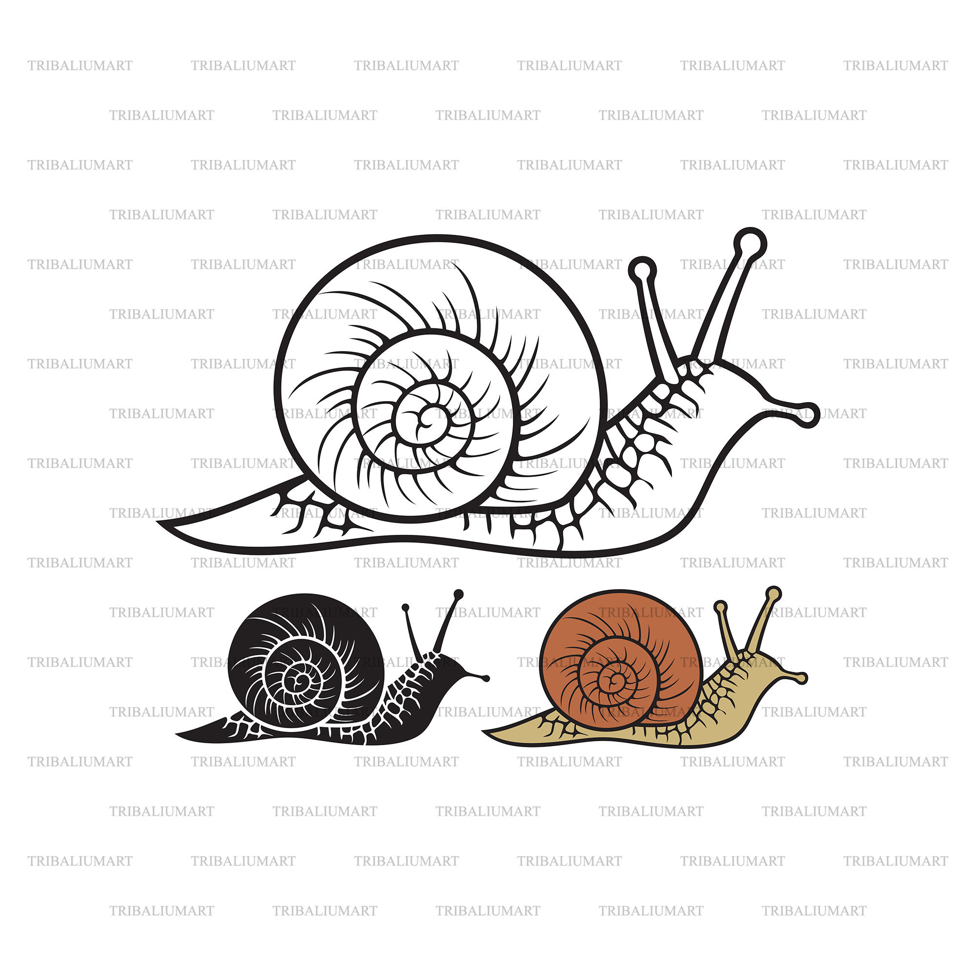 Snail. Cut Files for Cricut. Clip Art Silhouette eps Svg - Etsy