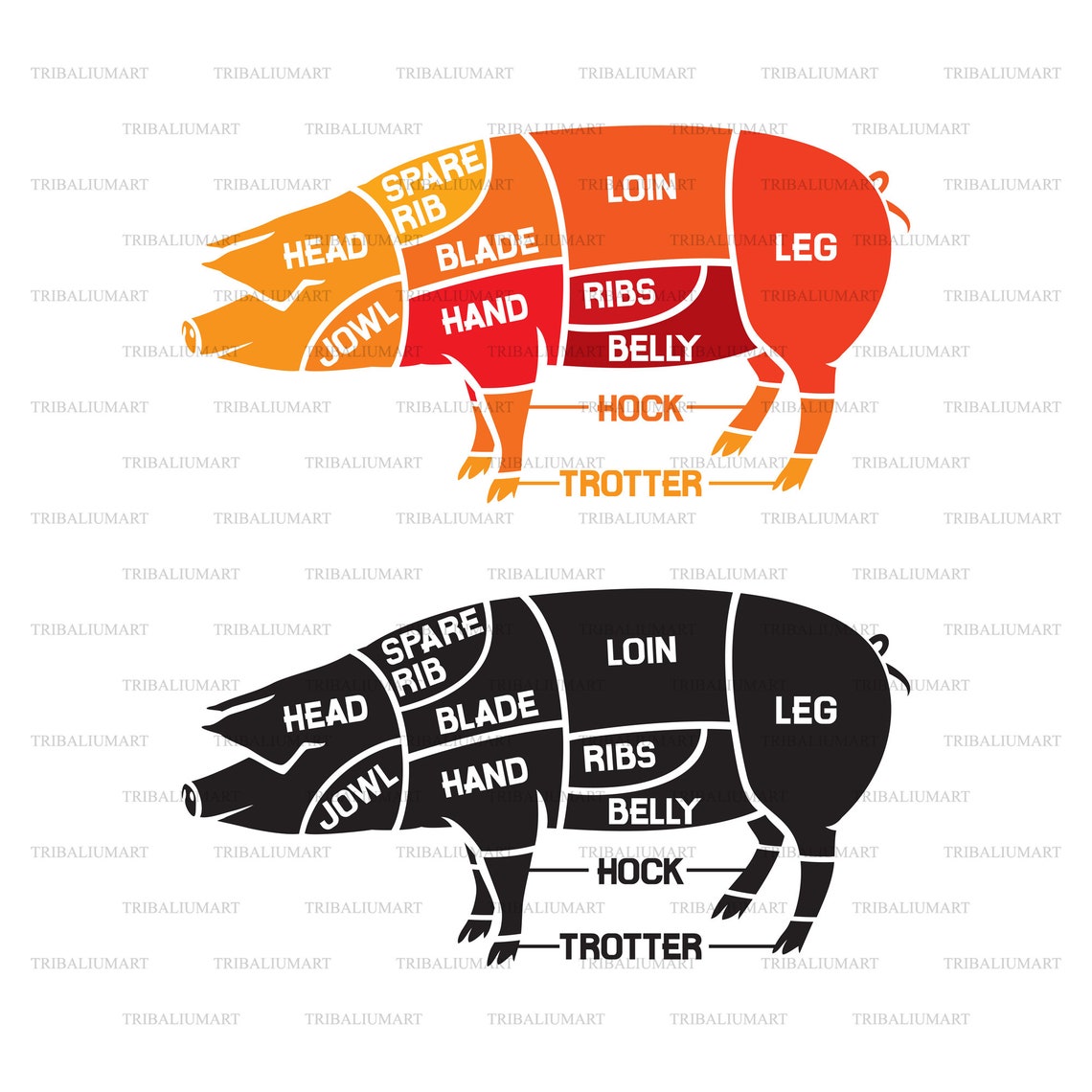 Pork Meat Cuts - Butcher Diagram. Cut Files for Cricut. Clip Art ...