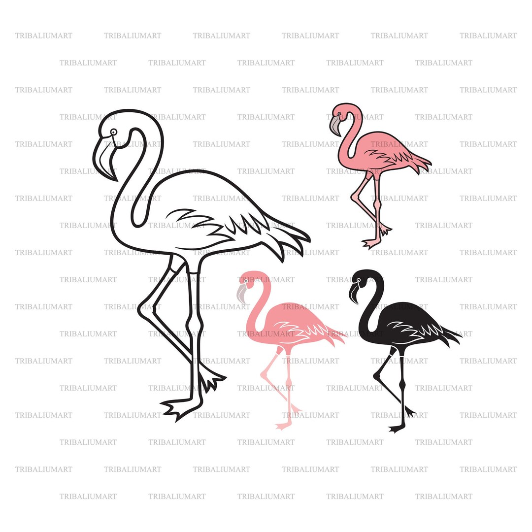 Flamingo Bird. Cut Files for Cricut, Clip Art Silhouettes (eps, Svg ...