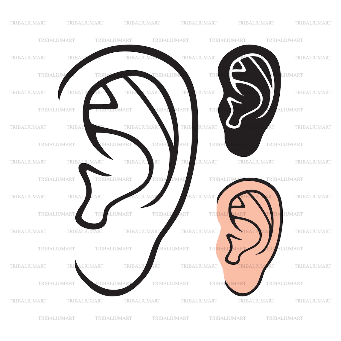 Human Ear. Cut Files for Cricut. Clip Art (eps, Svg, Pdf, Png, Dxf ...