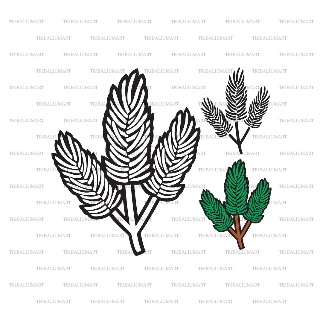 Pine Branch. Cut Files for Cricut. Clip Art Silhouette (eps, Svg, Pdf ...