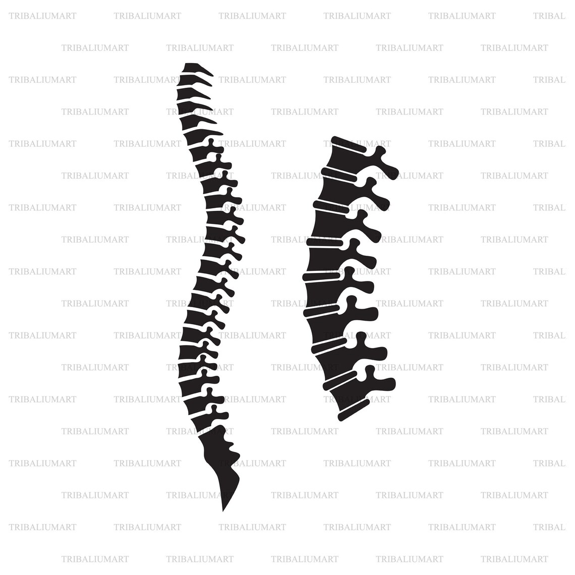 Human Spine. Cut Files for Cricut. Clip Art Silhouettes eps - Etsy