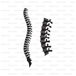Human Spine. Cut Files for Cricut. Clip Art Silhouettes eps - Etsy