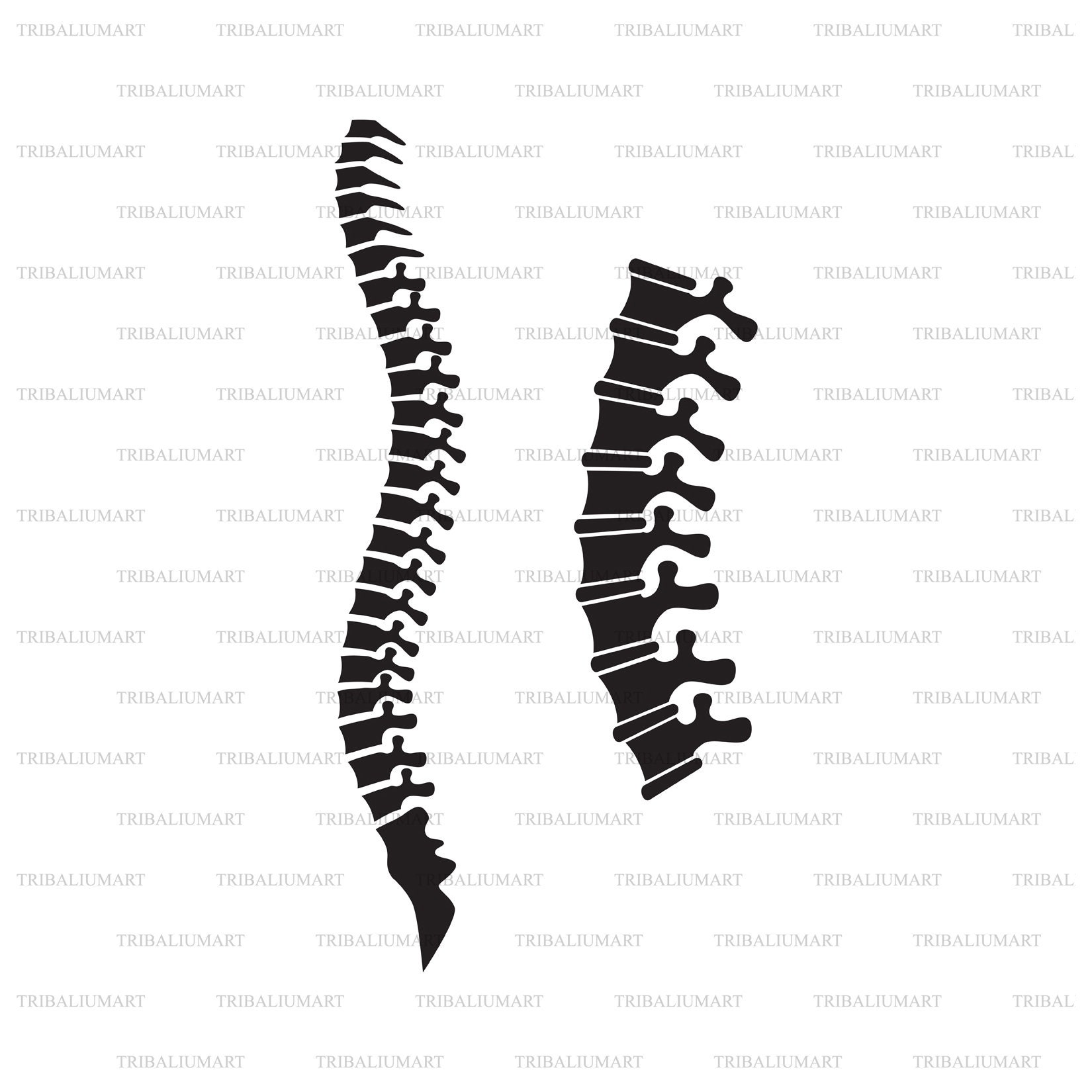 Spine Free Clipart