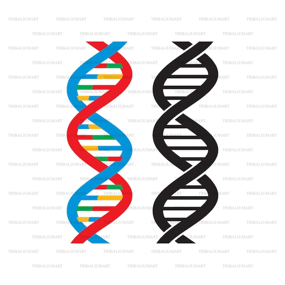 DNA strand. Cut files for Cricut. Clip Art silhouettes eps | Etsy