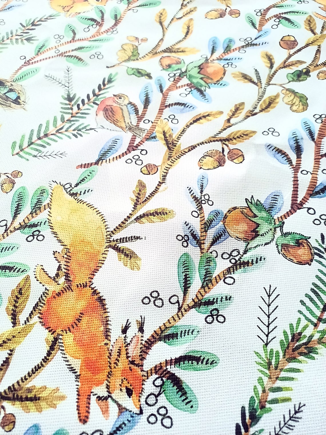 Squirrel, Filbert, Hazelnut and Bird Pupholstery Fabric for Textile ...