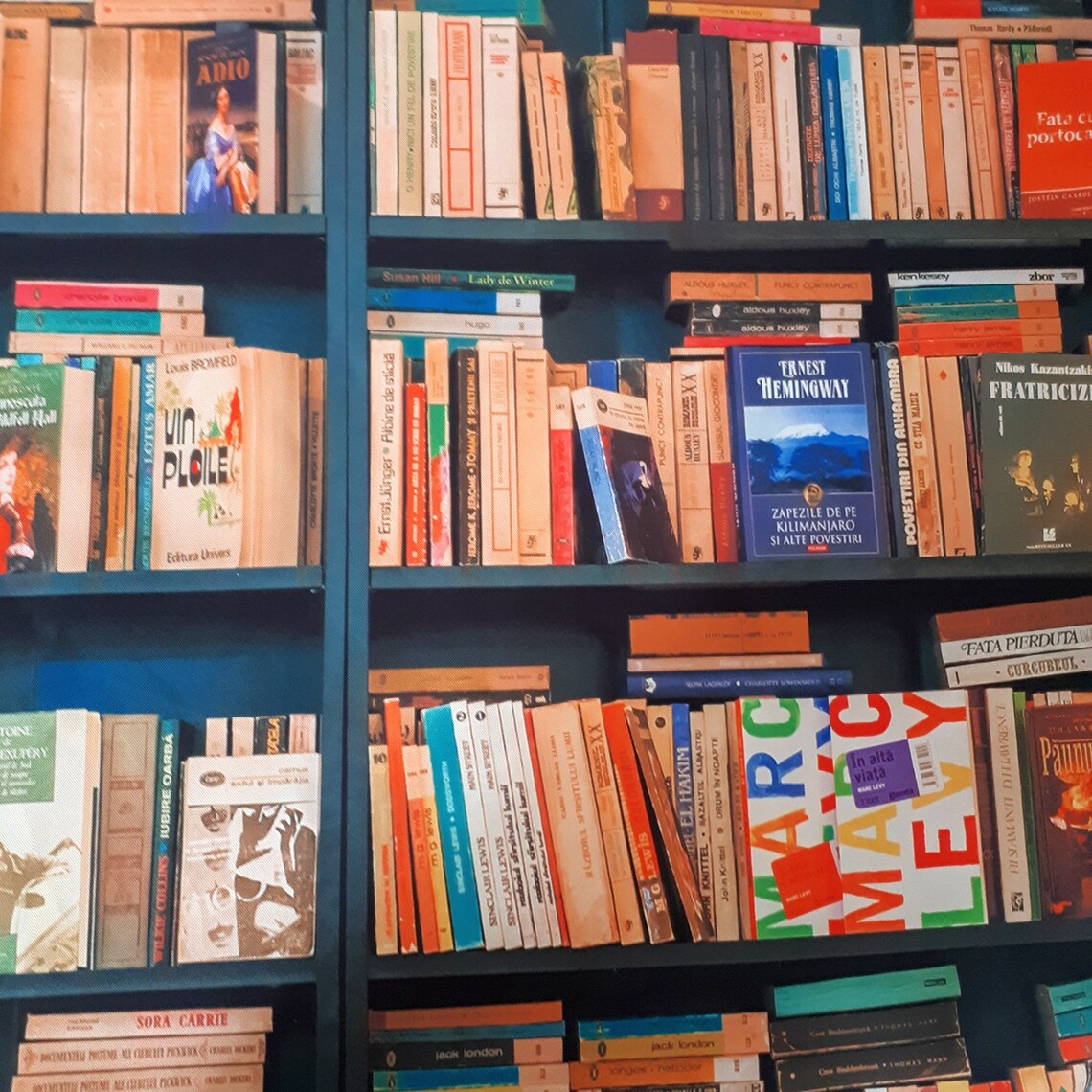 Book Bookcase Bookshelf Fabric DIY Fabric for Curtain | Etsy