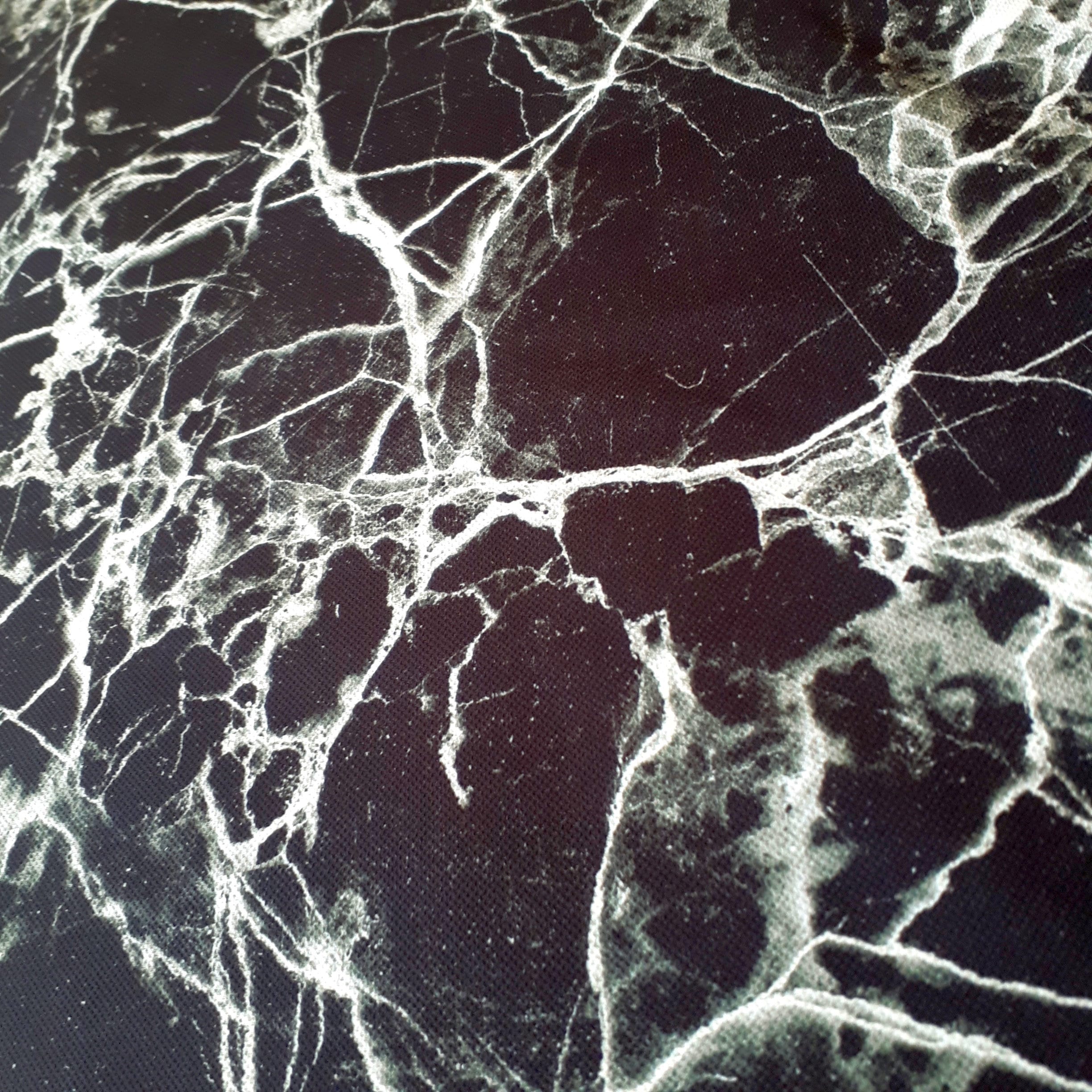 Black Marble Print Fabric for Upholstery by the Yard Modern - Etsy