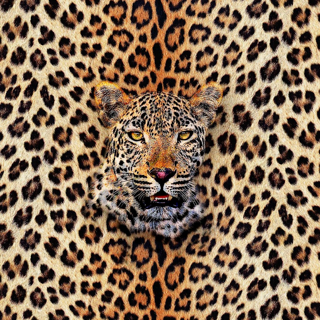 Leopard Chair Cover Upholstery Fabric, Luxury Fabric, Luxury Decor ...